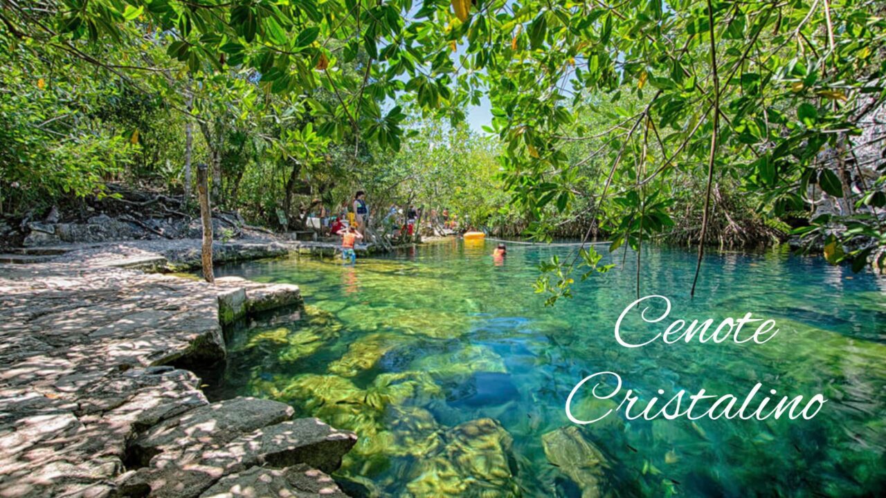 Experience The Magic of Cenote Azul [Guide]