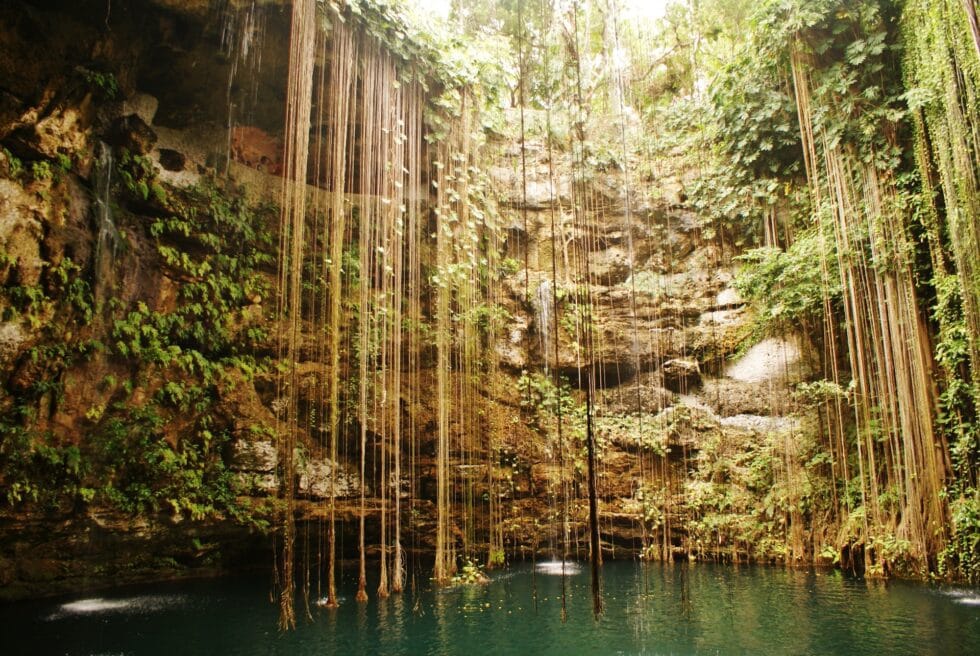 Experience The Magic of Cenote Azul [Guide]