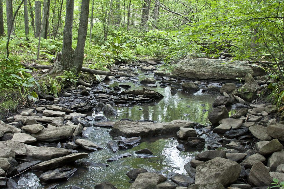 Need to Know What to do in Worcester, Massachusetts?
