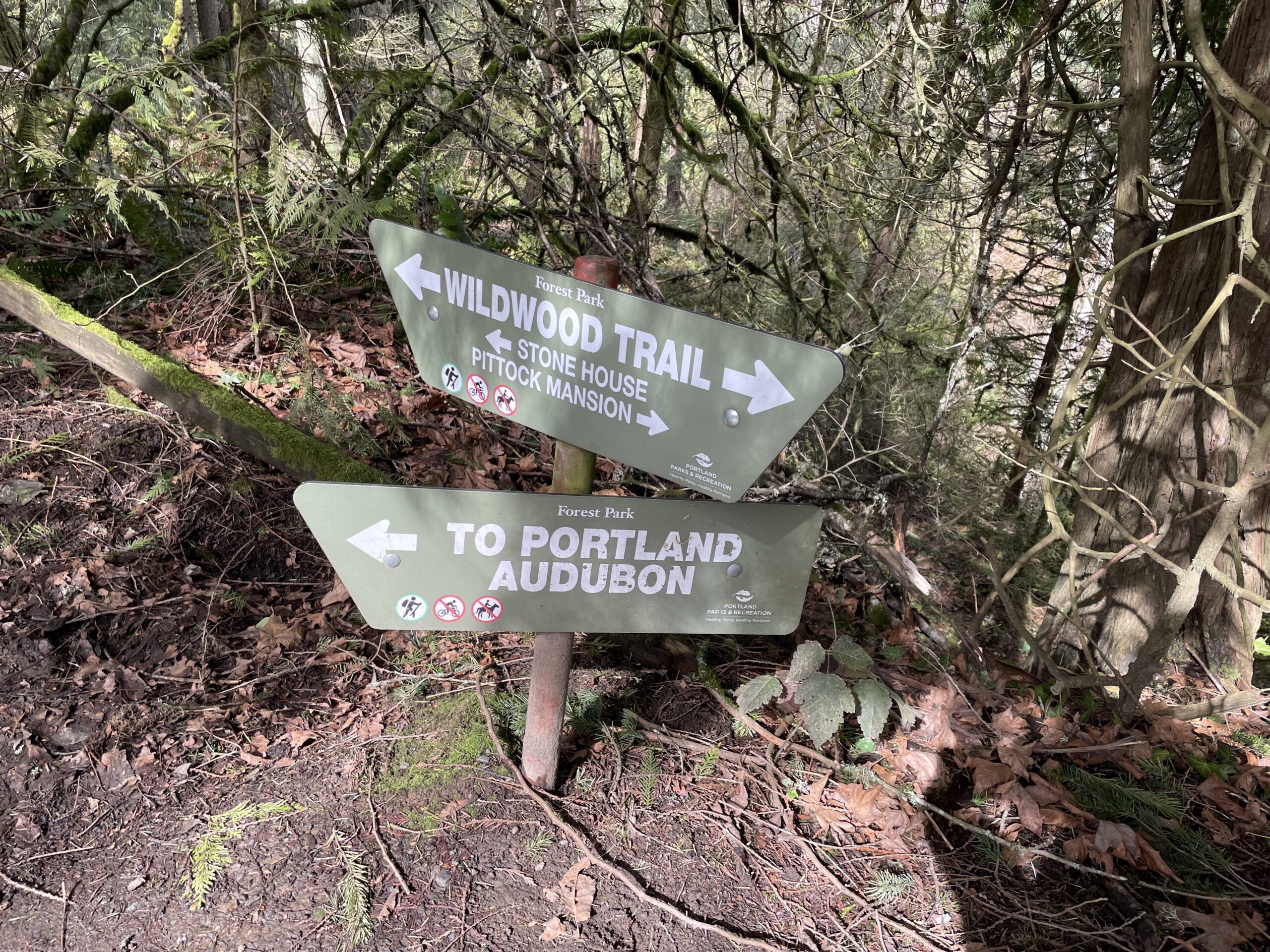 Pittock Mansion Hike Has Everything You Want in a Hike